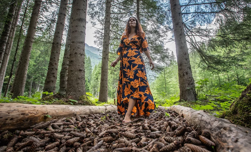 Stelvio National Park