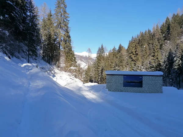 Sustainability and innovation